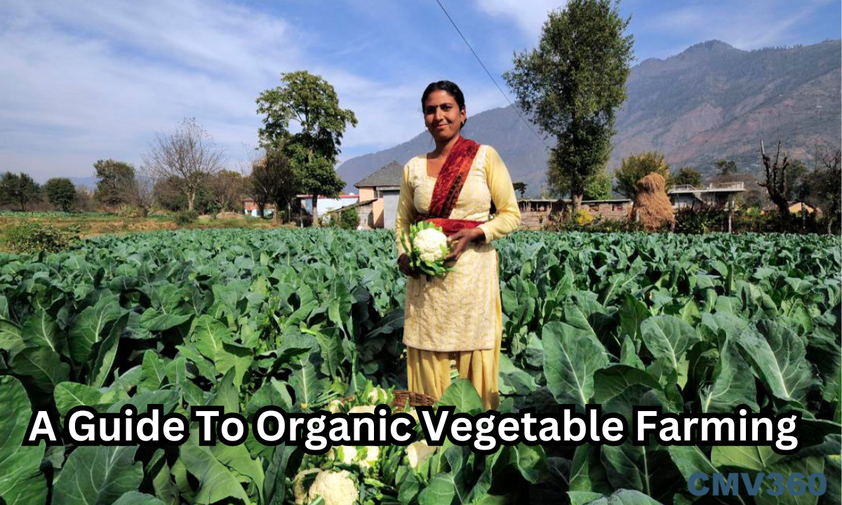 Vegetable Farm: A Guide To Organic Vegetable Farming