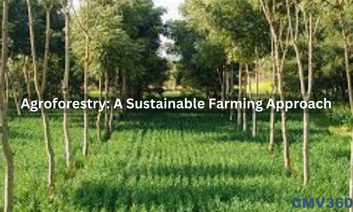 Agroforestry: Importance, Scope, Benefits And Its Types