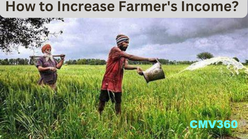 How to Increase Farmer's Income? Five strategies to increase farmers ...